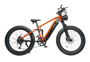 Electric Bike – CYCROWN